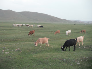 Ulis Travels - Mongolia and Beyond: Horhog